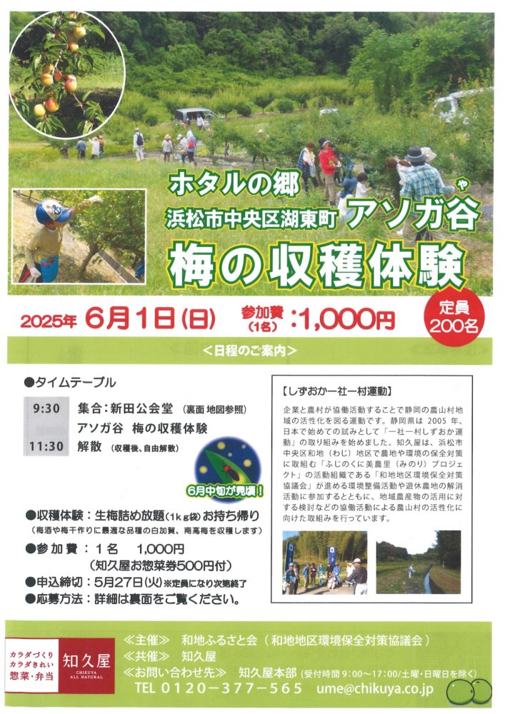 梅の収穫体験 6/1（日）アソガ谷（浜松市中央区湖東町）で開催！ - ZAZAmag.