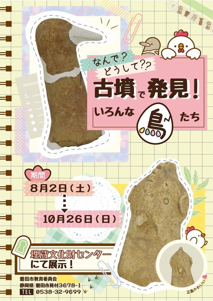 磐田市 なんで？どうして？？古墳で発見！いろんな鳥たち 10/26まで - ZAZAmag.