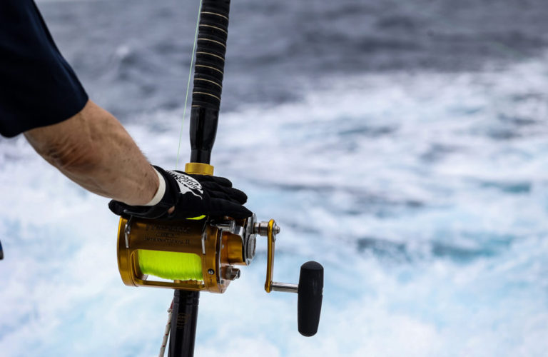 浜名湖ビルフィッシュトーナメント2025 .7.26-27 開催！！（ミナトリング27日開催） - ZAZAmag.